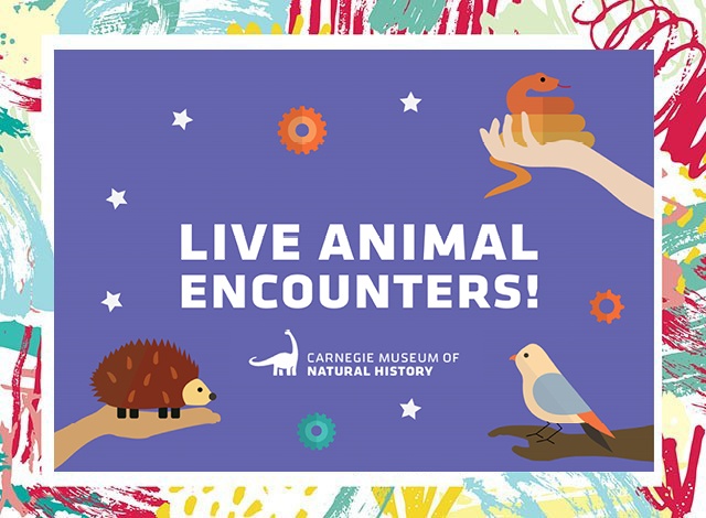 Live Animal Encounters | All Ages in Pittsburgh | The Pittsburgh ...